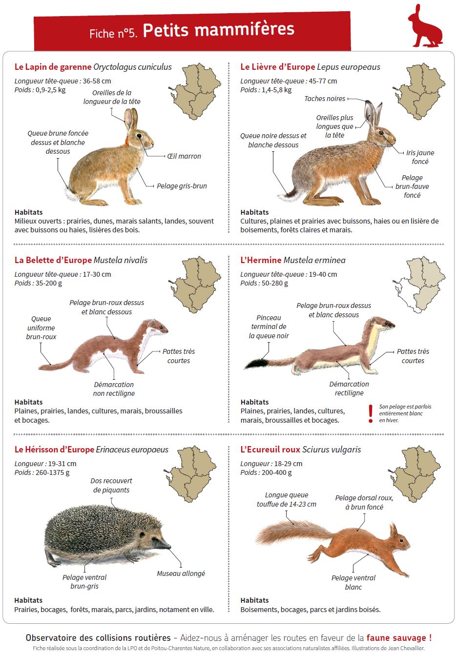 Fiche 5 - petits mammifères - www.faune-charente-maritime.org